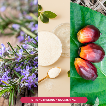 Magic Shampoo Sheets, Instantly Dissolves – NIGHT