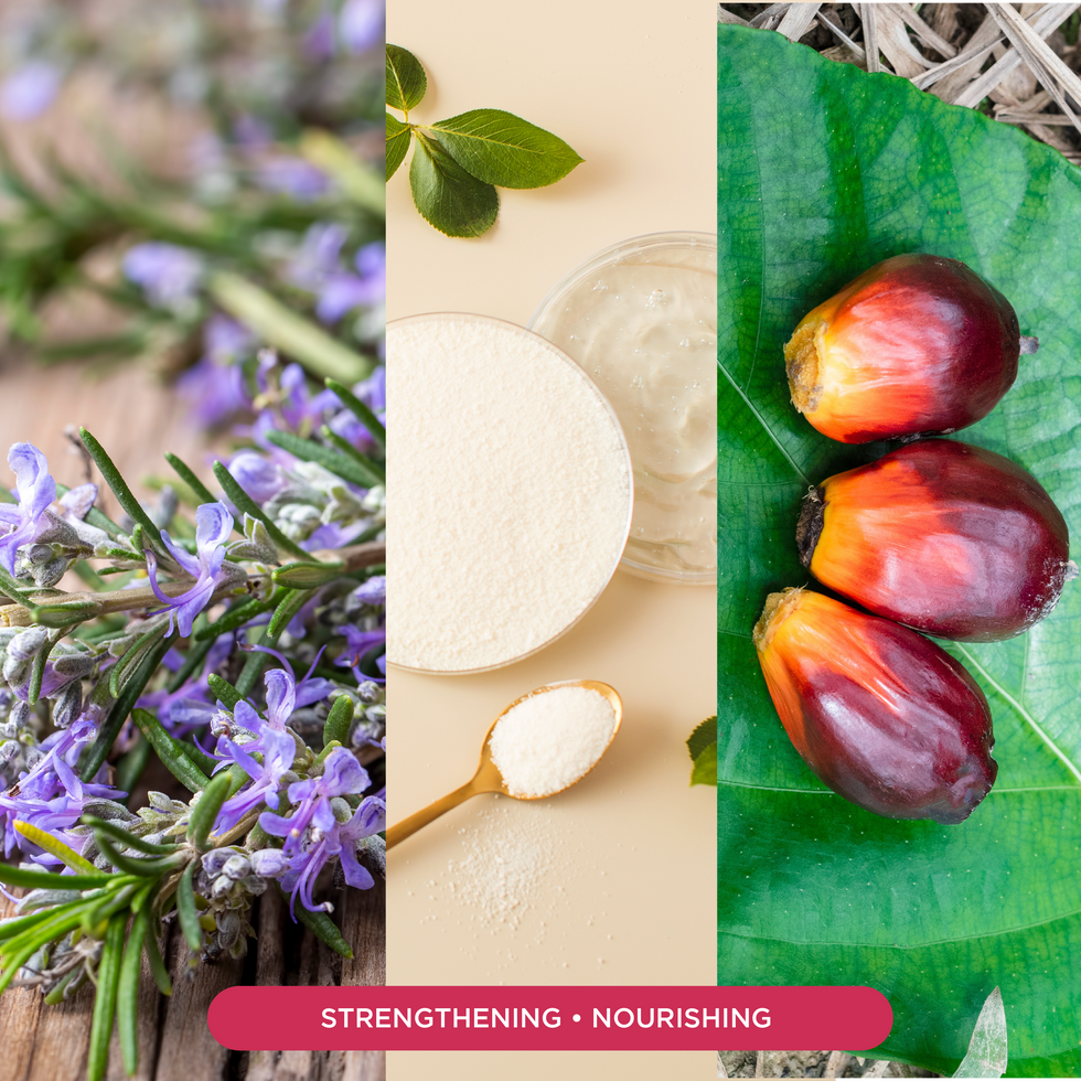 Magic Shampoo Sheets, Instantly Dissolves – NIGHT